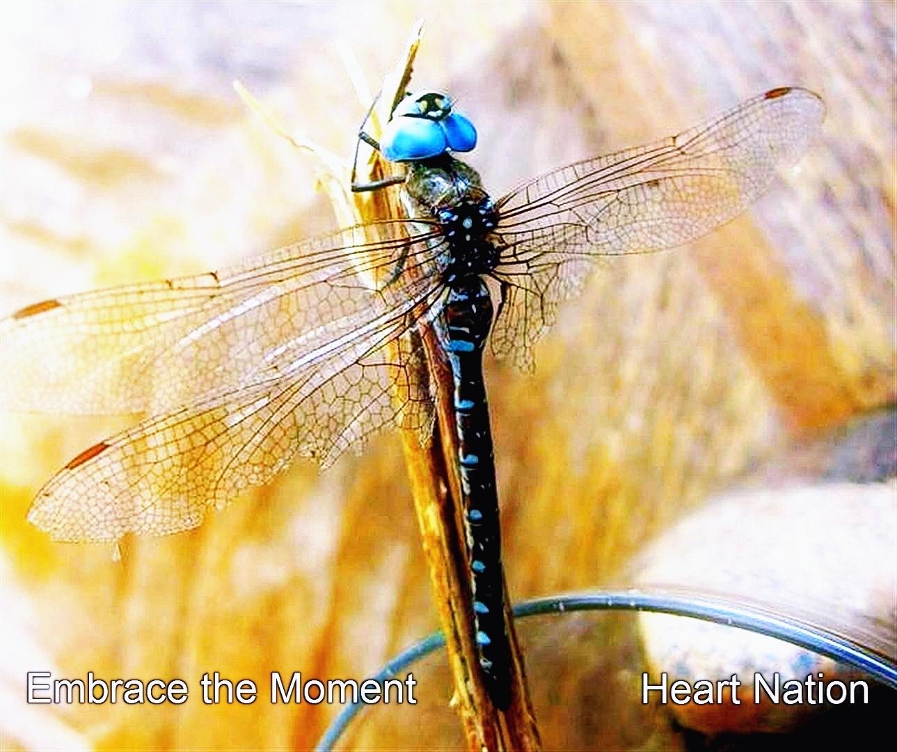 Transfiguration | Heart Nation Uplifting Inspiring New Generation